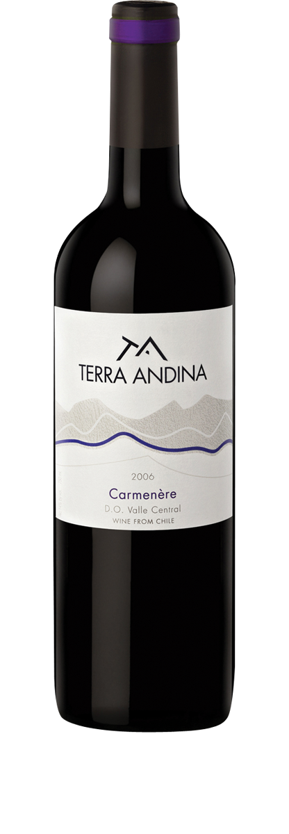 vinho-terra-andina-carmenere-2014-terra-andina-0536140-terra-andina ...